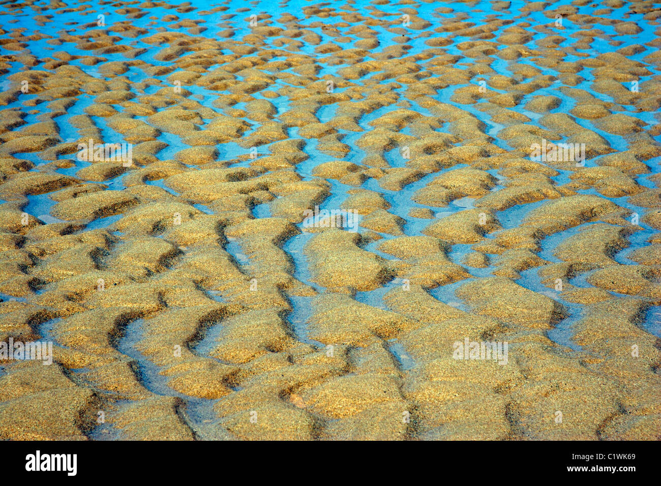 Sand patterns on beach, Cornwall, England, UK Stock Photo - Alamy