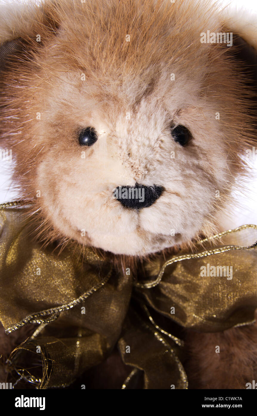 A close up of a real-fur teddy bear Stock Photo - Alamy