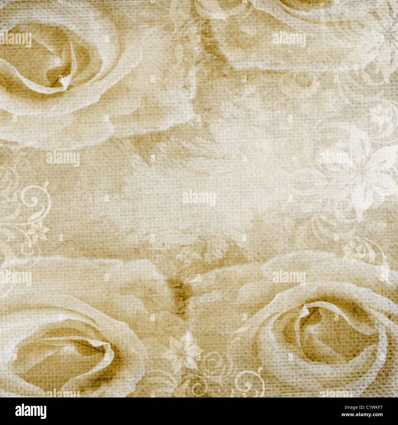 grunge romantic background with beige roses Stock Photo - Alamy
