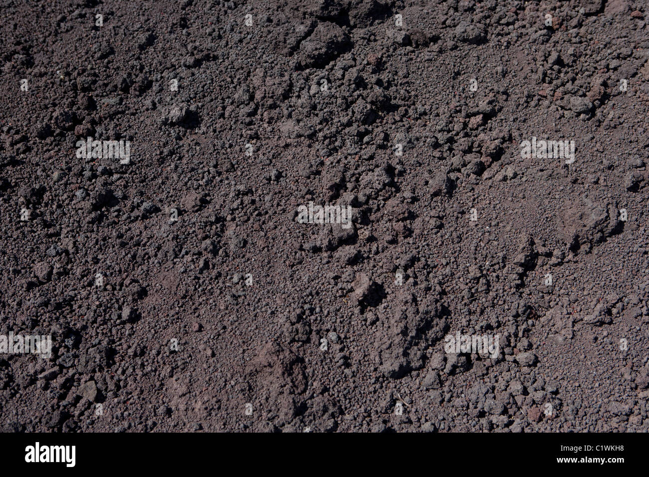 Pumice rock hi-res stock photography and images - Alamy