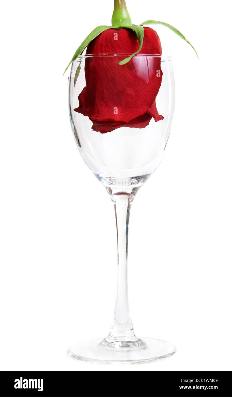 Red Rose in a glass goblet on a white background Stock Photo - Alamy