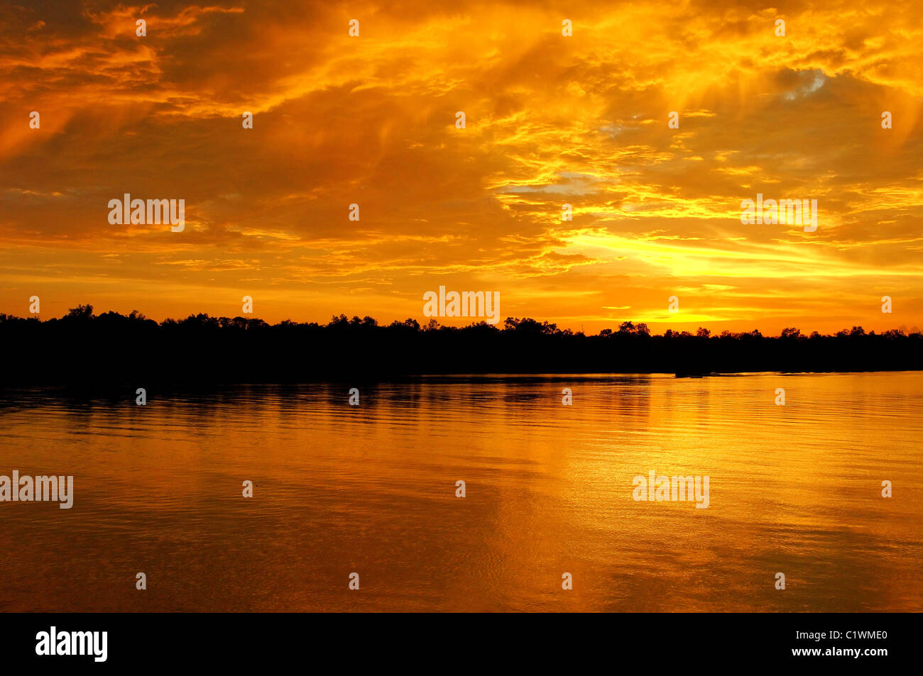 Selangor nature park hi-res stock photography and images - Alamy