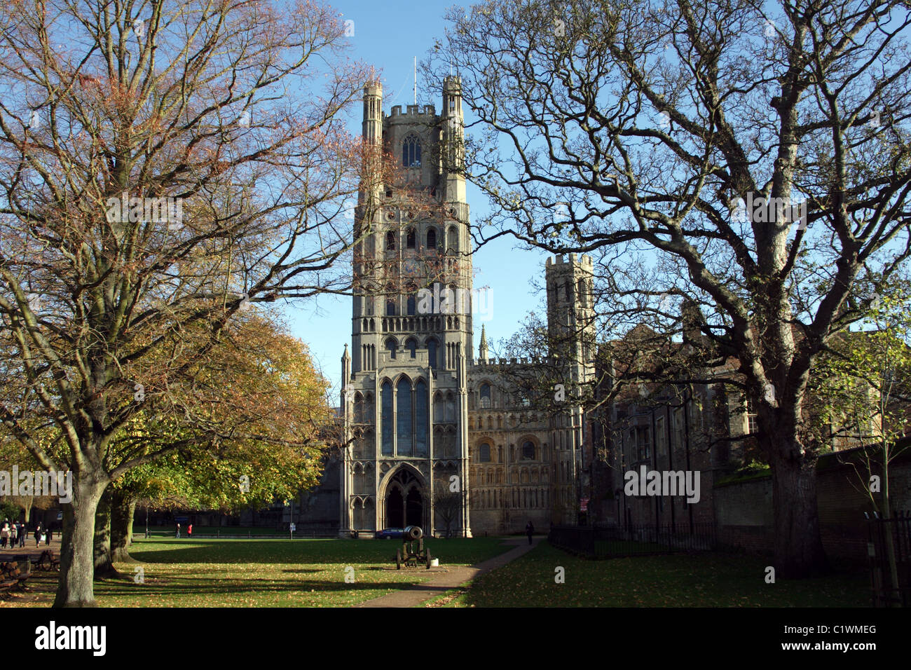 View of Ely Cathedral, Ely, Cambridgeshire, England, UK Stock Photo - Alamy