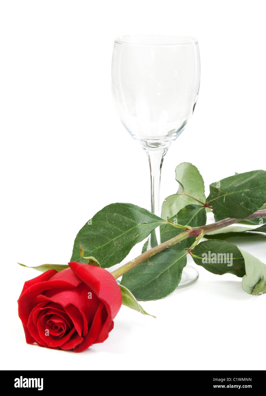 Red rose and a glass cup on a white background Stock Photo - Alamy