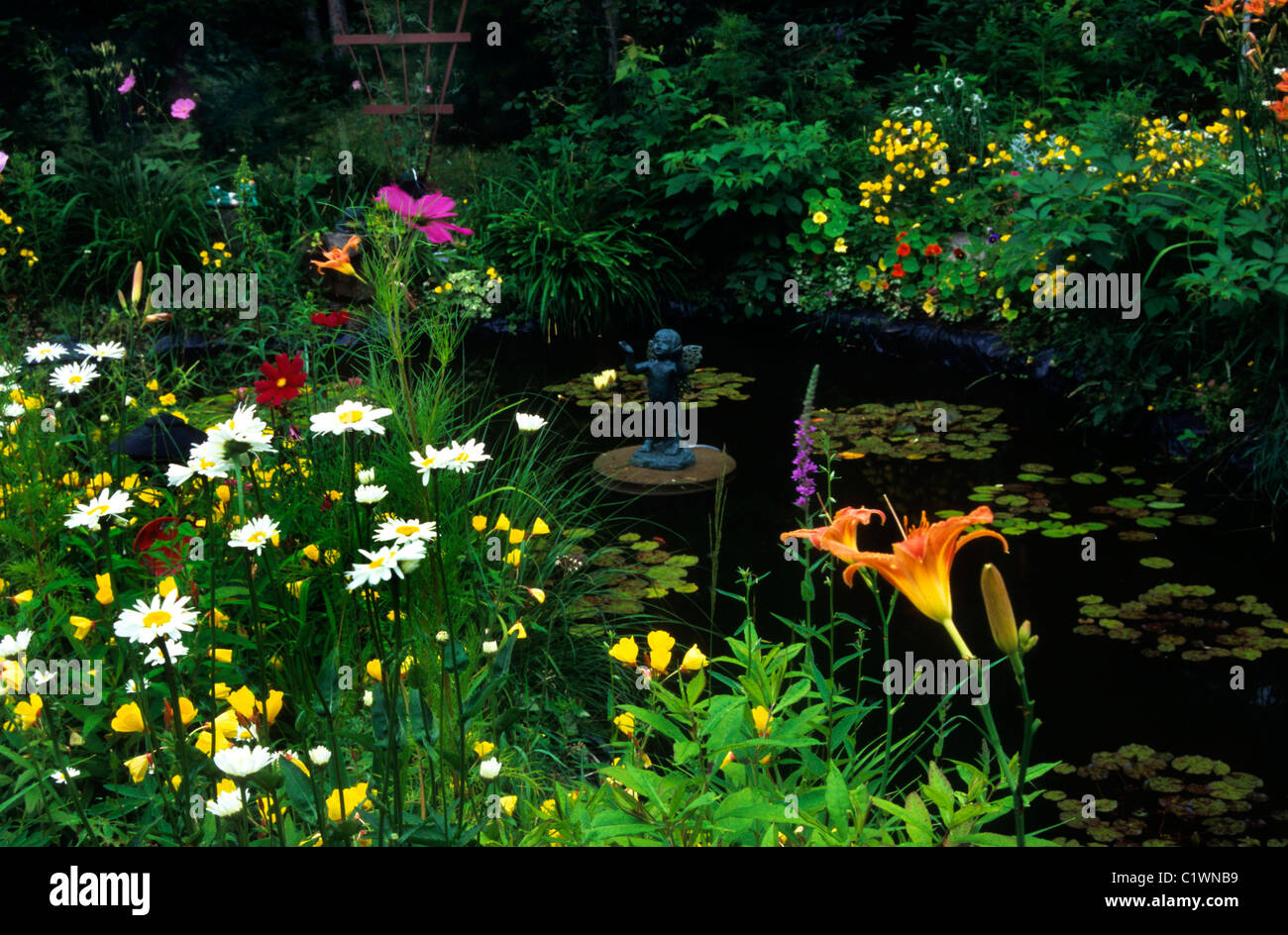 Flowers around pond Stock Photo - Alamy