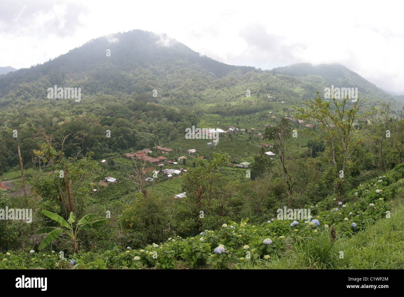 Balinese village and rice farms Stock Photo - Alamy