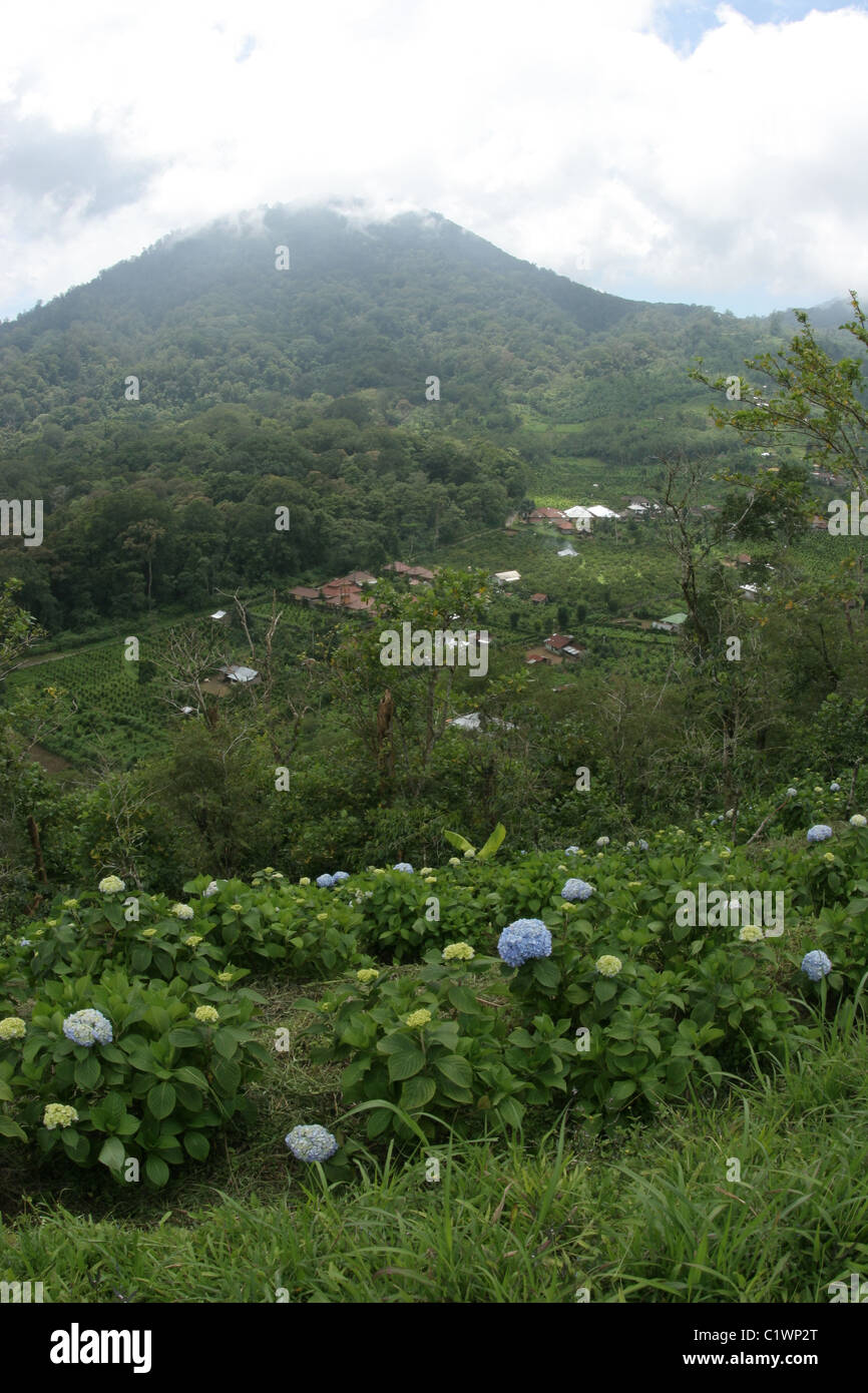 Balinese farm life hi-res stock photography and images - Alamy