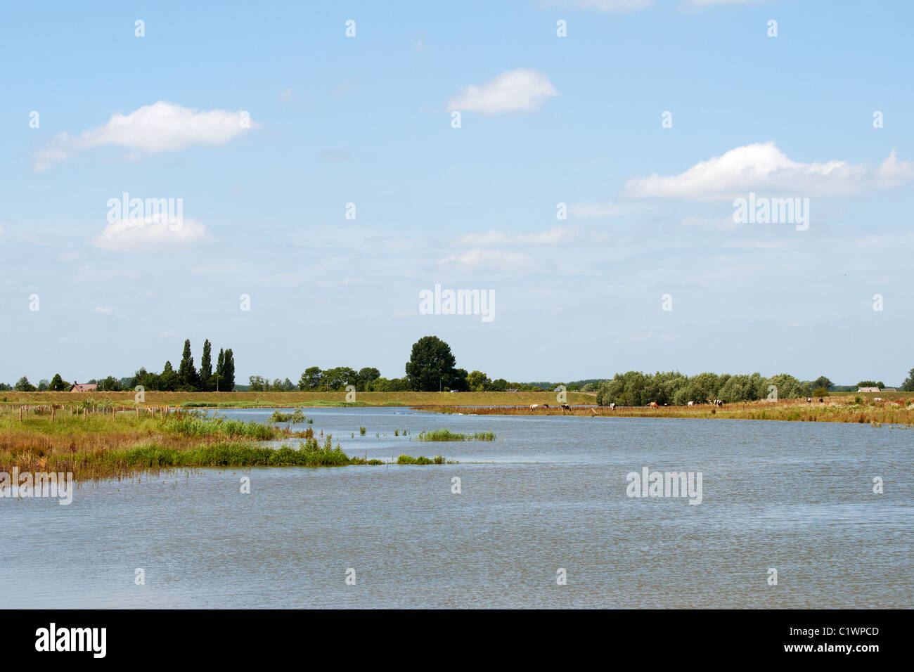 River the Lek in Holland at summer Stock Photo - Alamy