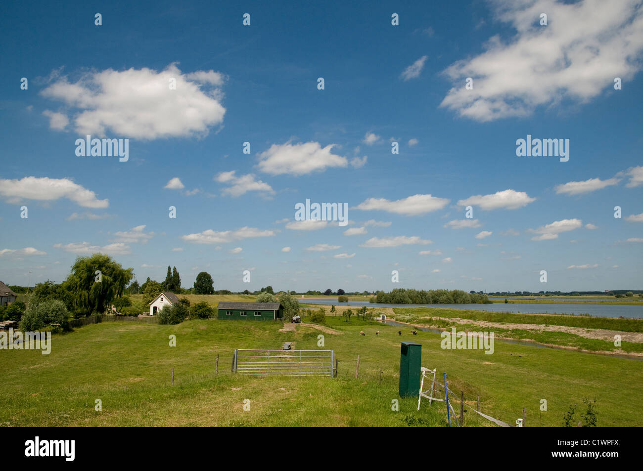 River the Lek in Holland Stock Photo - Alamy