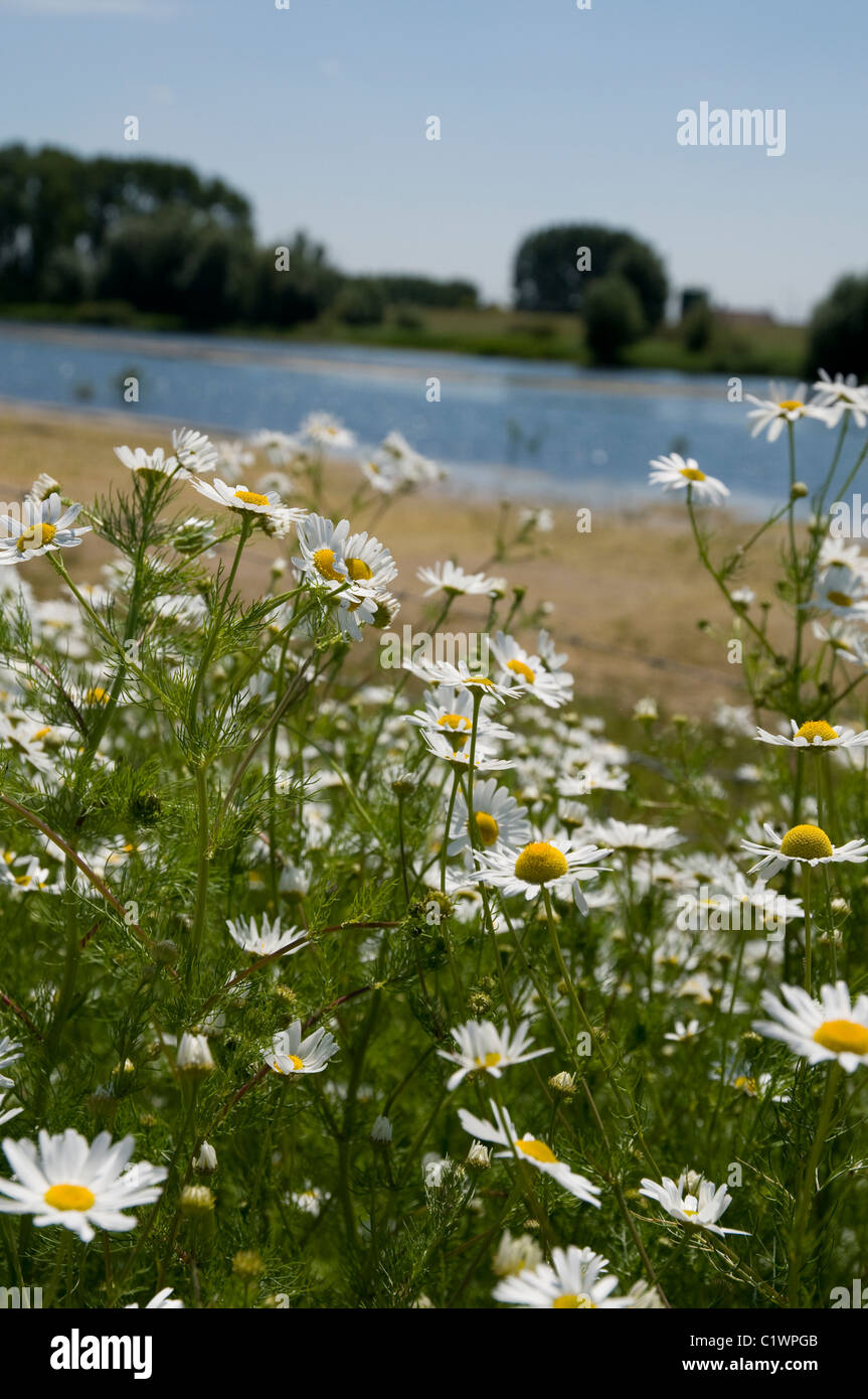 Lek river hi-res stock photography and images - Alamy
