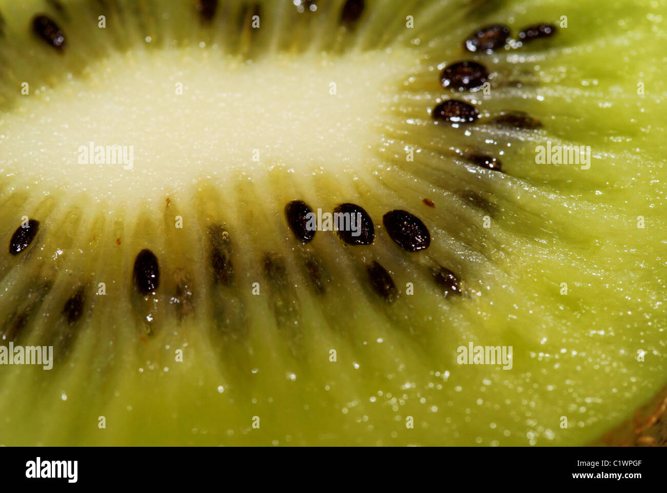 detail of a kiwi seeds Stock Photo - Alamy