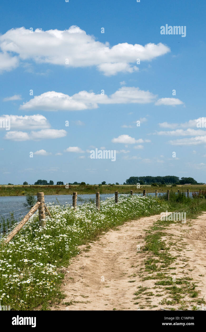 river landscape with path Stock Photo - Alamy