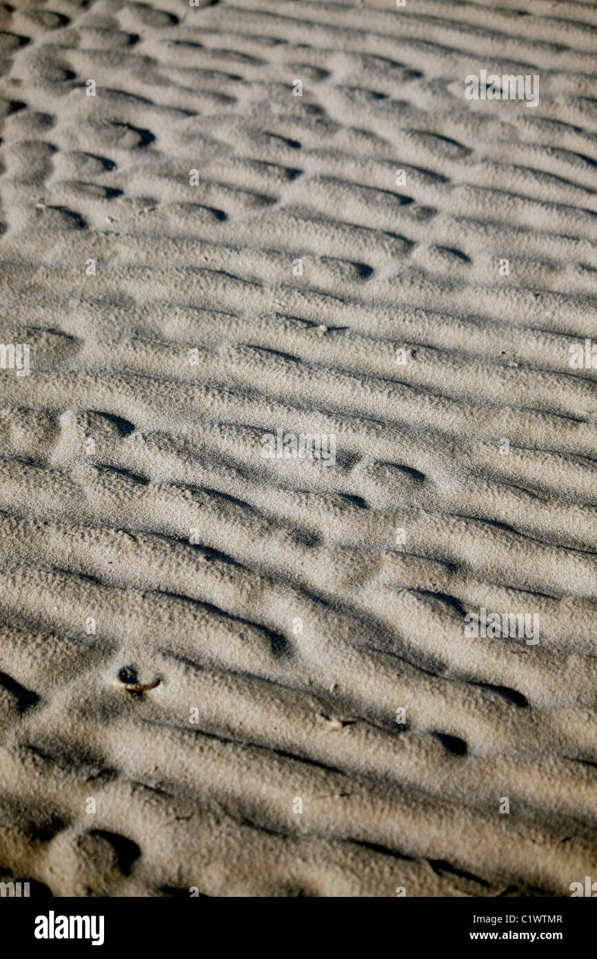 Sand ripples formed by the low tide at the beach Stock Photo - Alamy