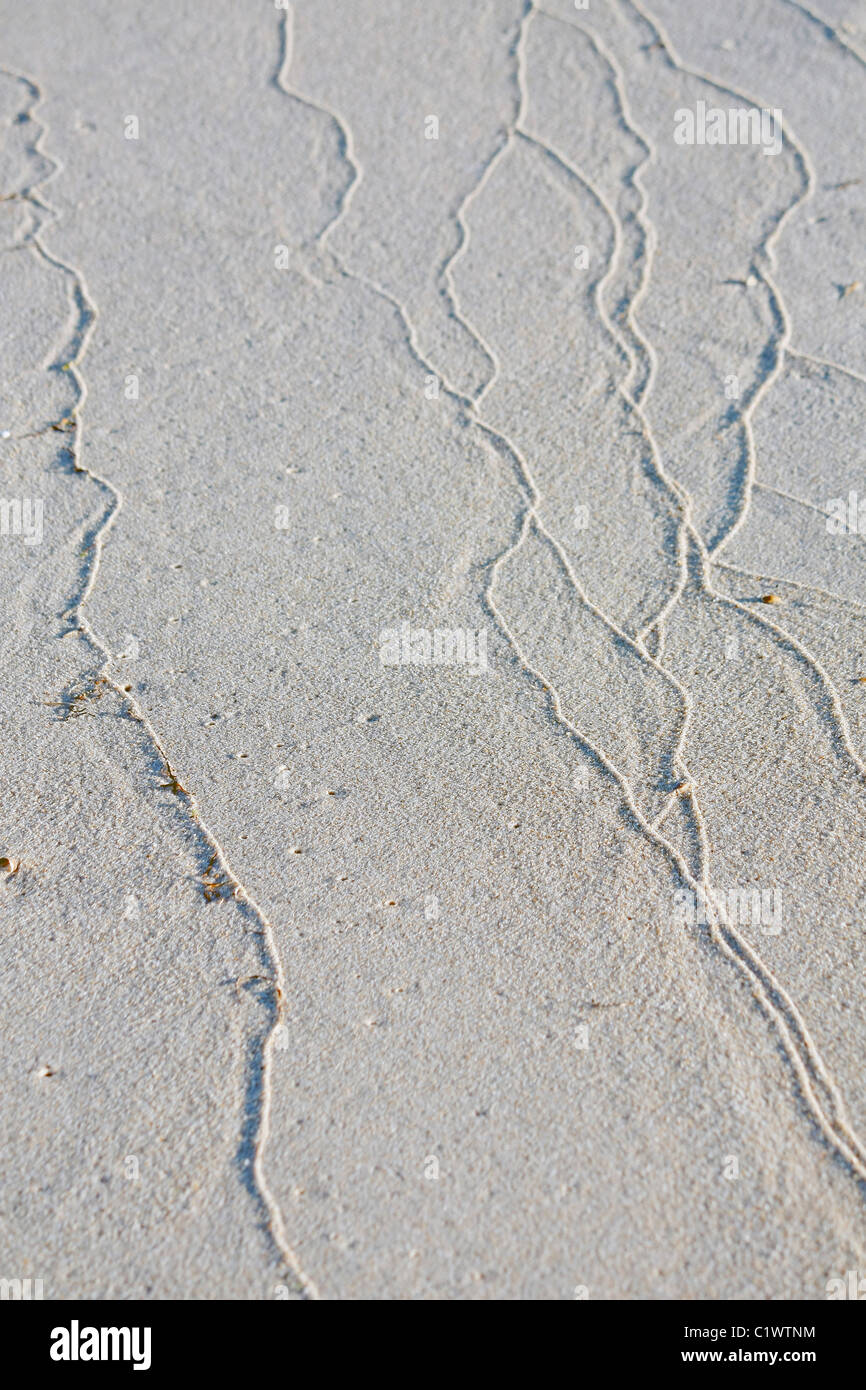 Sand ripples formed by the bathing water tide on the beach Stock Photo ...