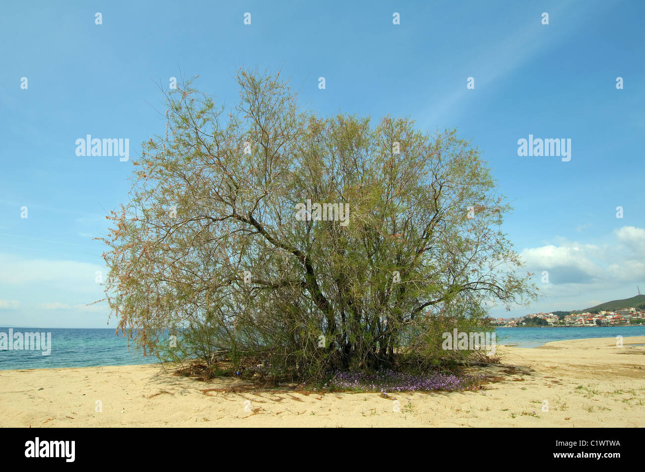 landscape of Greece Stock Photo - Alamy