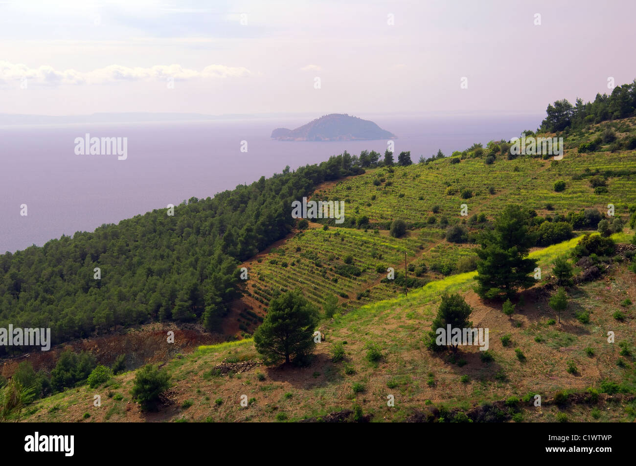 landscape of Greece Stock Photo - Alamy
