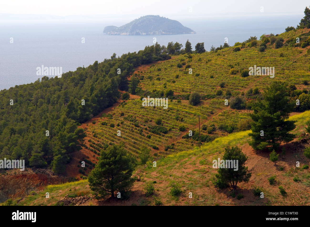 landscape of Greece Stock Photo - Alamy