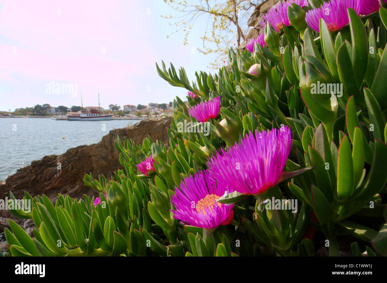 landscape of Greece Stock Photo - Alamy