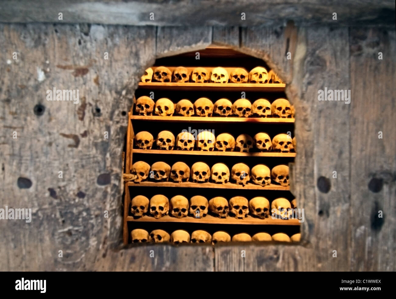 Human skull landscape hi-res stock photography and images - Alamy