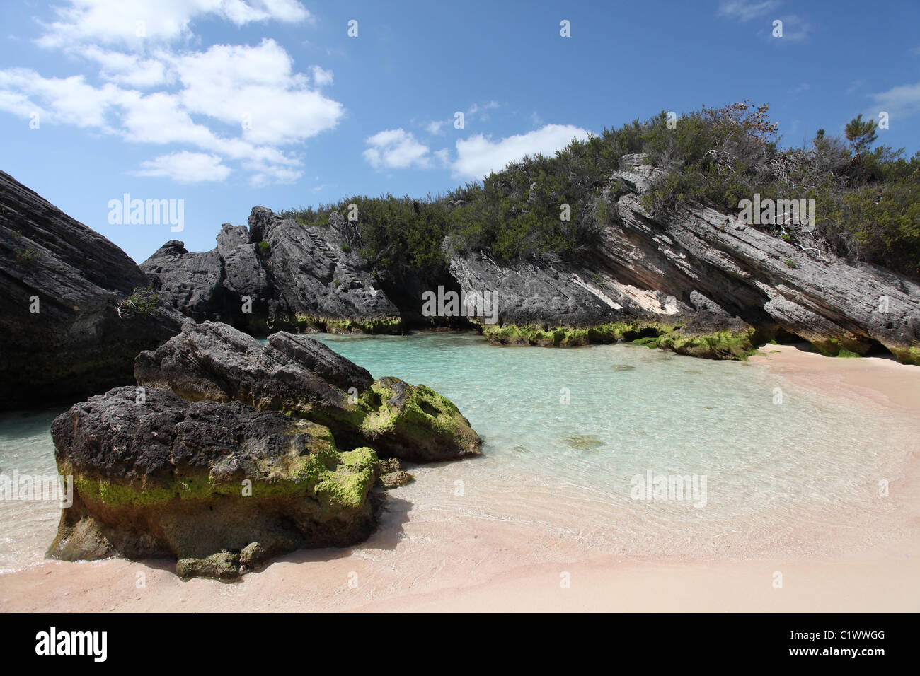 Jobsons cove bermuda hi-res stock photography and images - Alamy