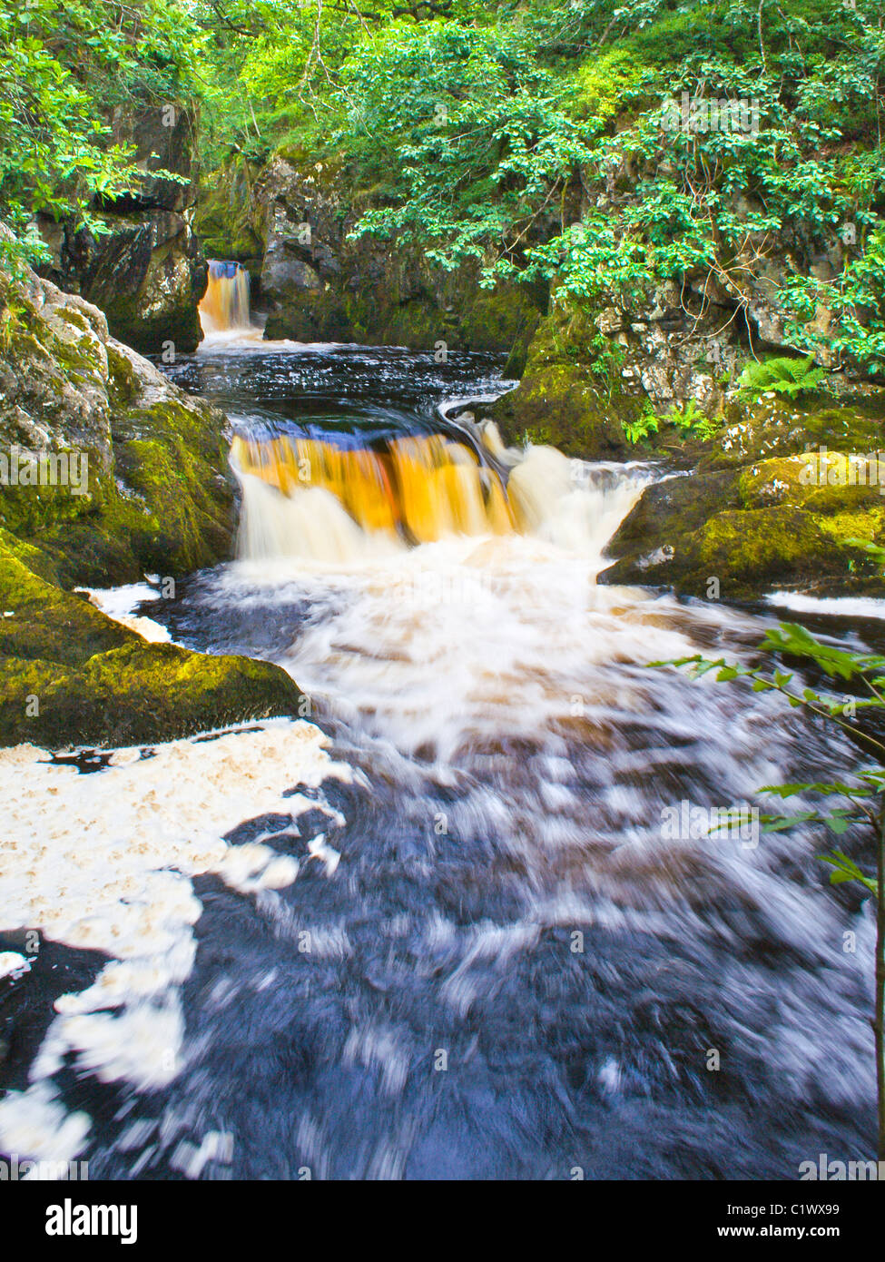 Ingleton falls trail hi-res stock photography and images - Alamy
