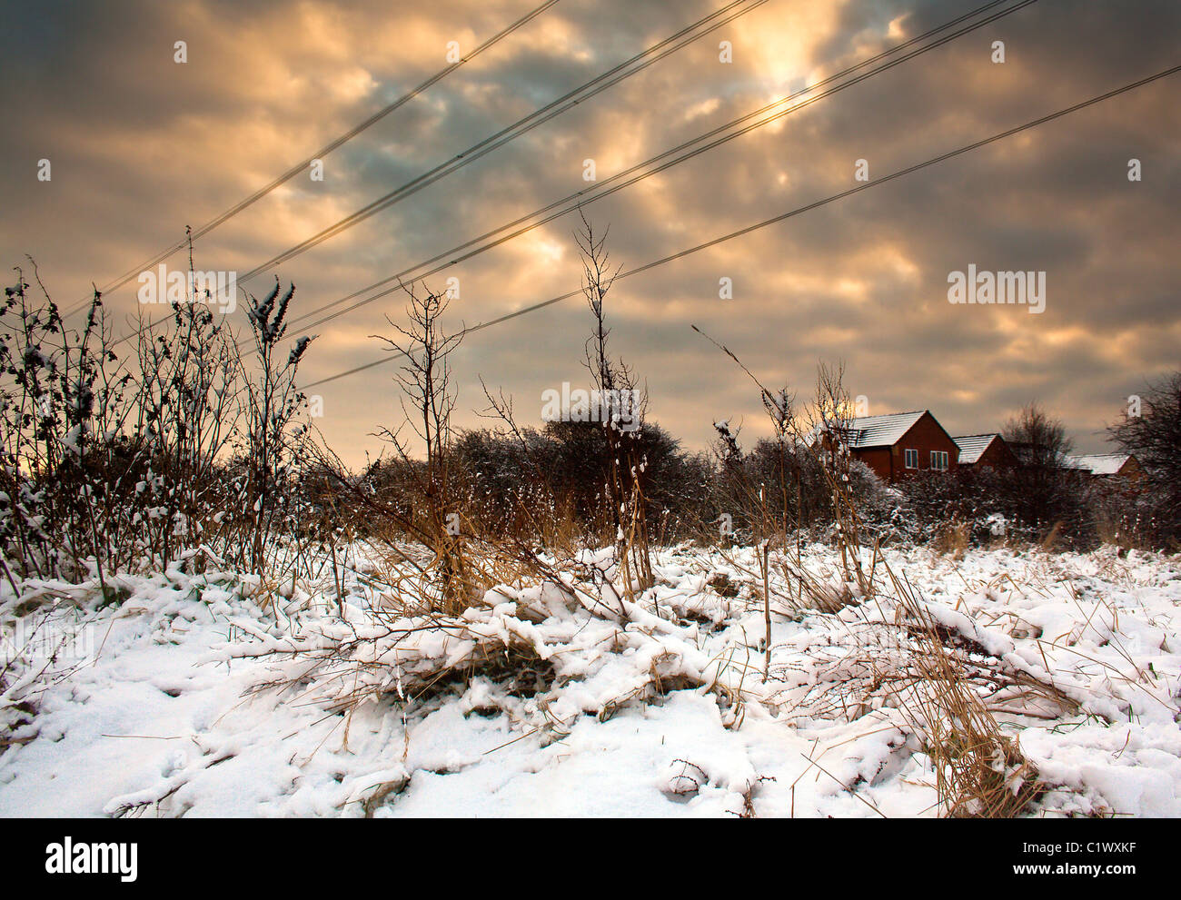 After the snow Stock Photo - Alamy