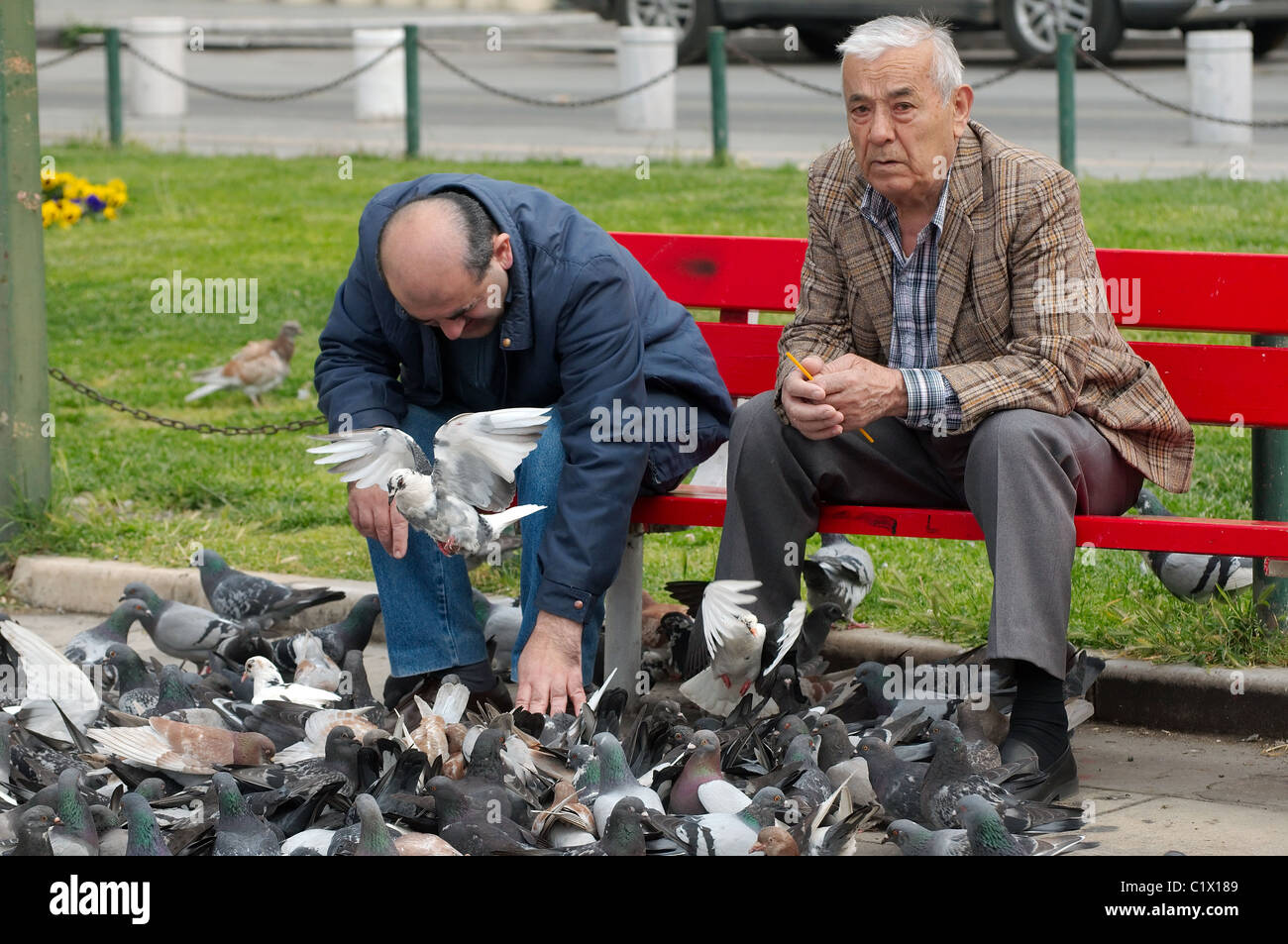 man with pigeons Stock Photo - Alamy