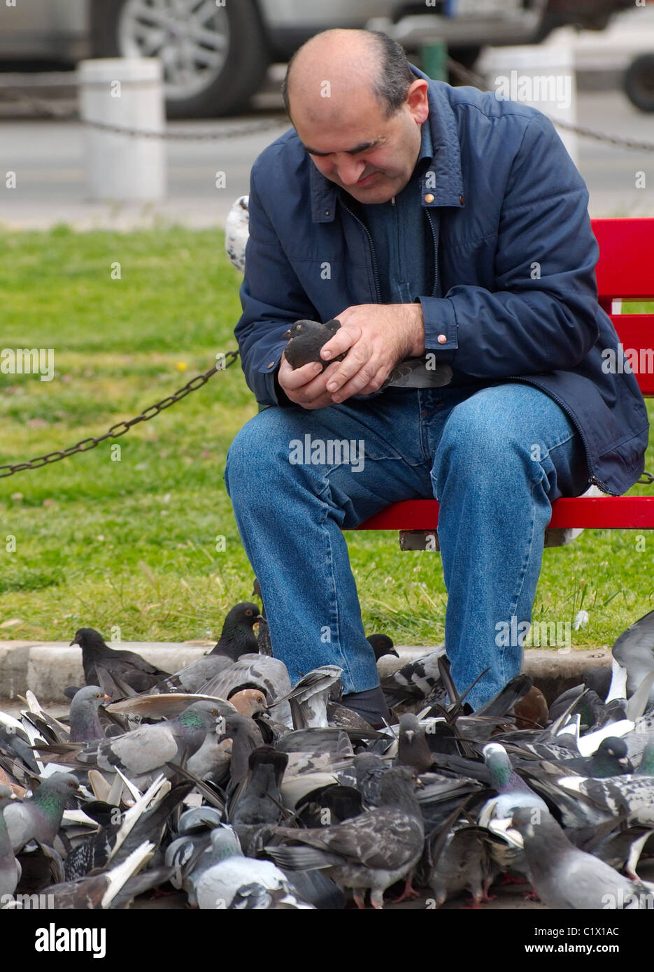 man with pigeons Stock Photo - Alamy