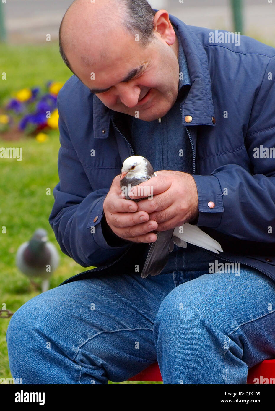 man with pigeons Stock Photo - Alamy