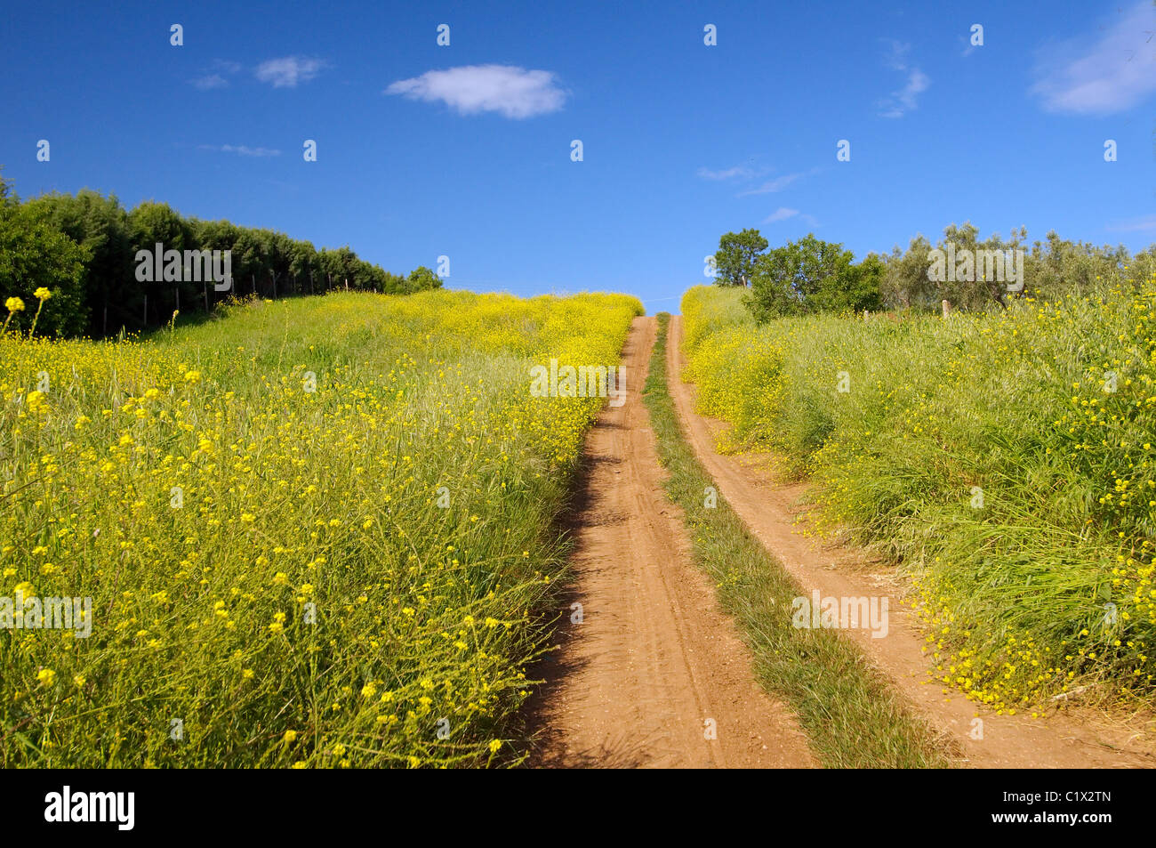 The rural road Stock Photo - Alamy