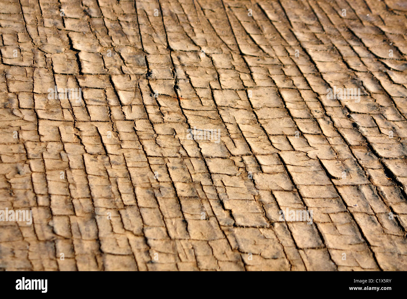 Close texture view of some dried out ground with many cracks Stock ...
