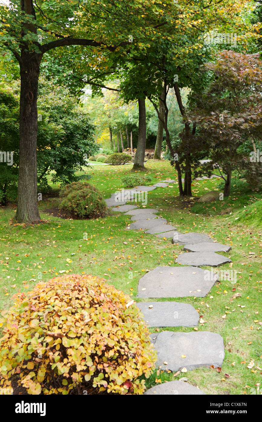 Path from stone in autumn park with green herb and tree Stock Photo - Alamy