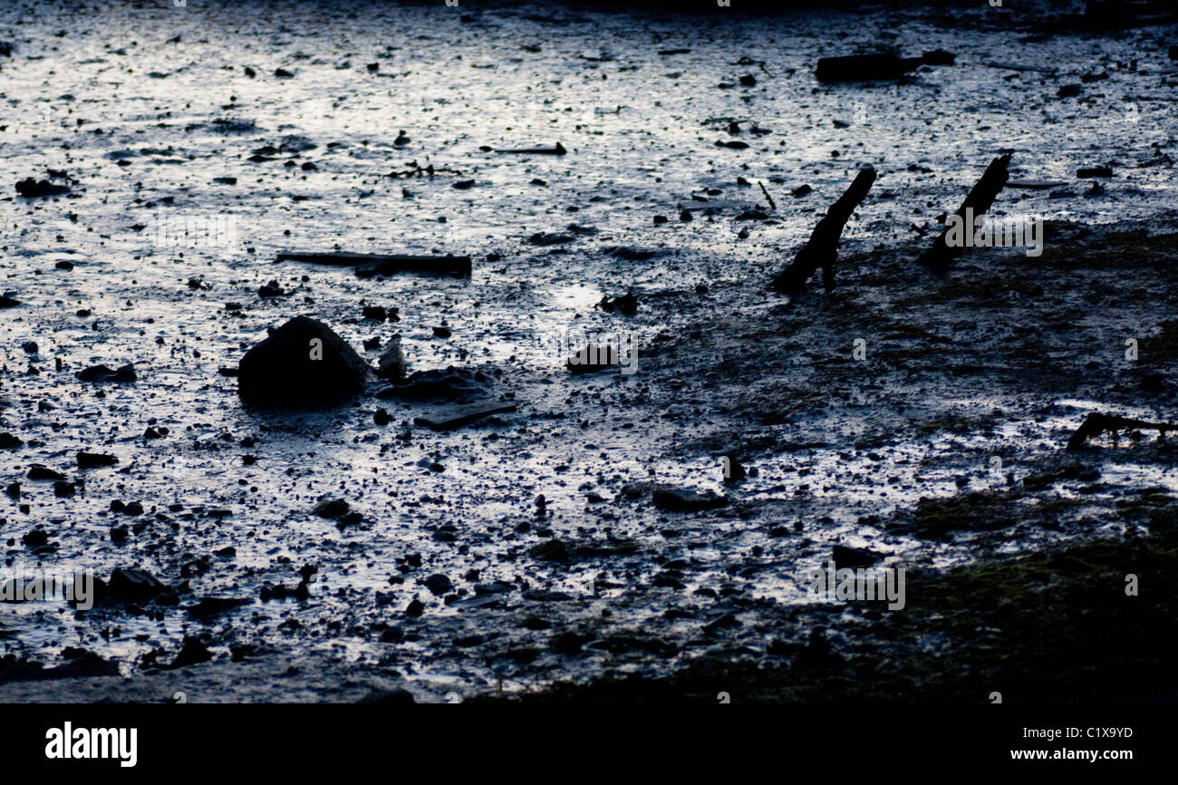View of a gritty and muddy swamp area filled with rocks and mud Stock ...