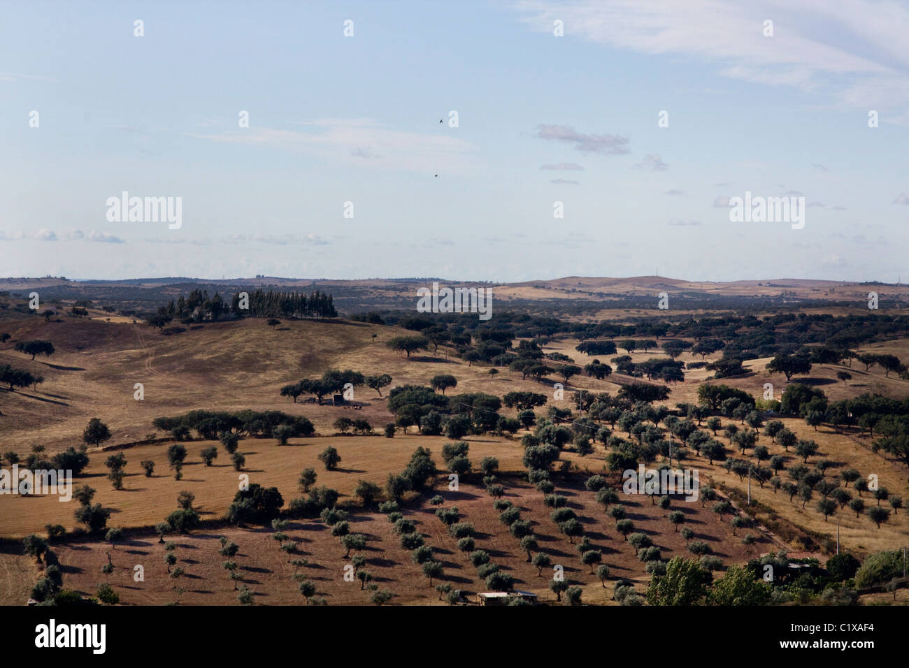 Typical landscape view of the Alentejo region on Portugal Stock Photo ...