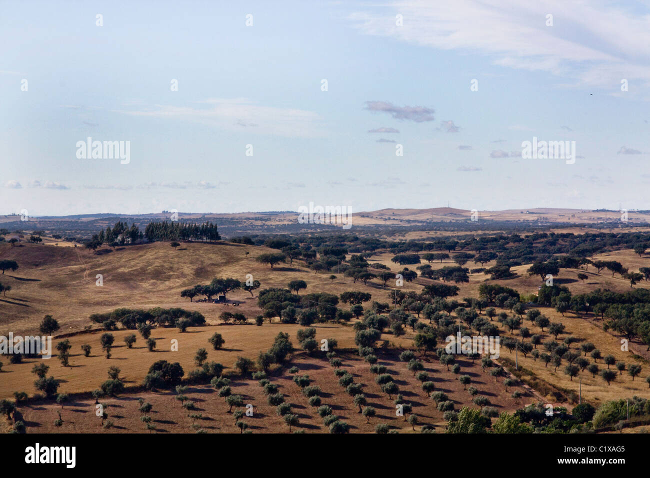 Typical landscape view of the Alentejo region on Portugal Stock Photo ...