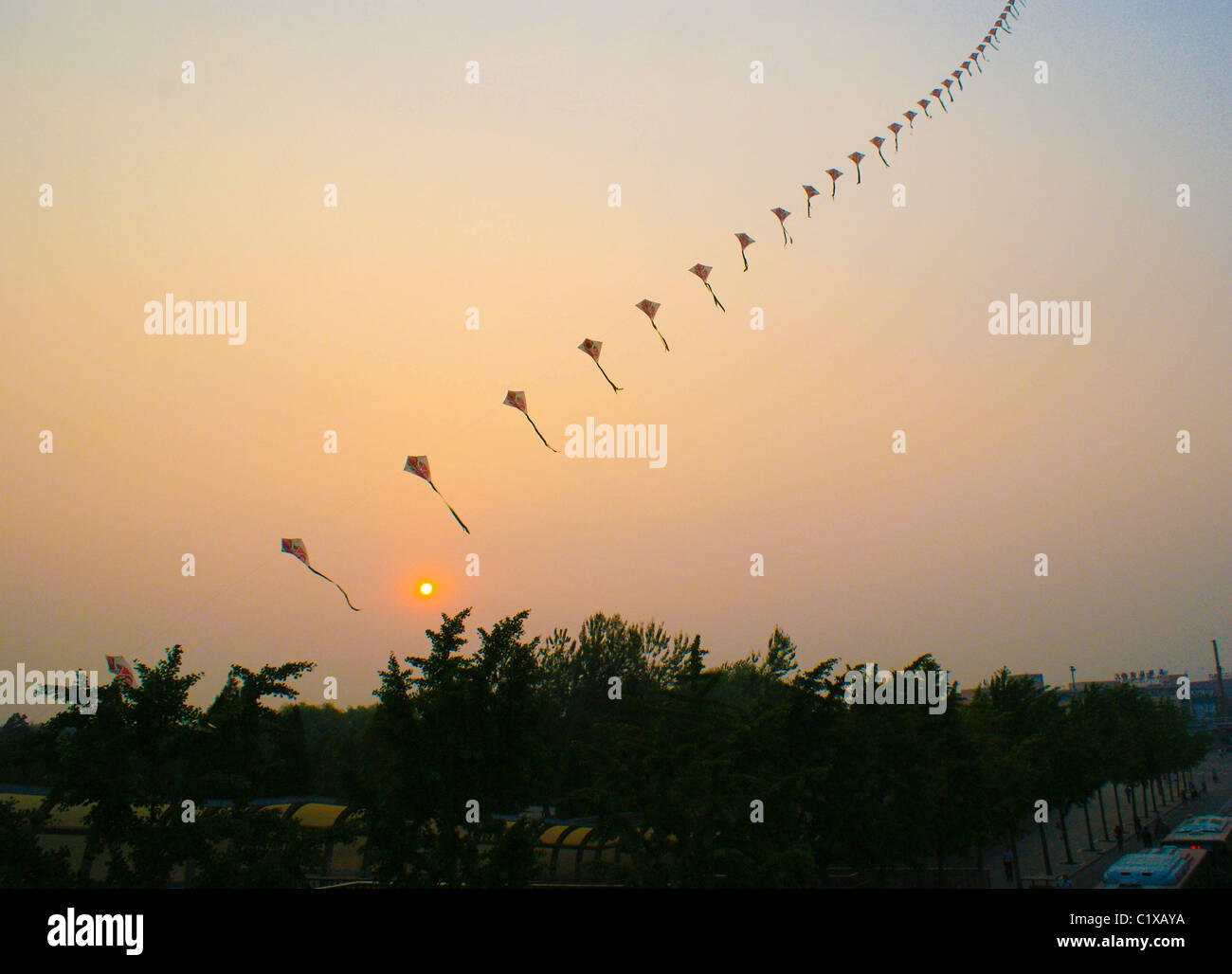 Kites In The Evening Sky Hd