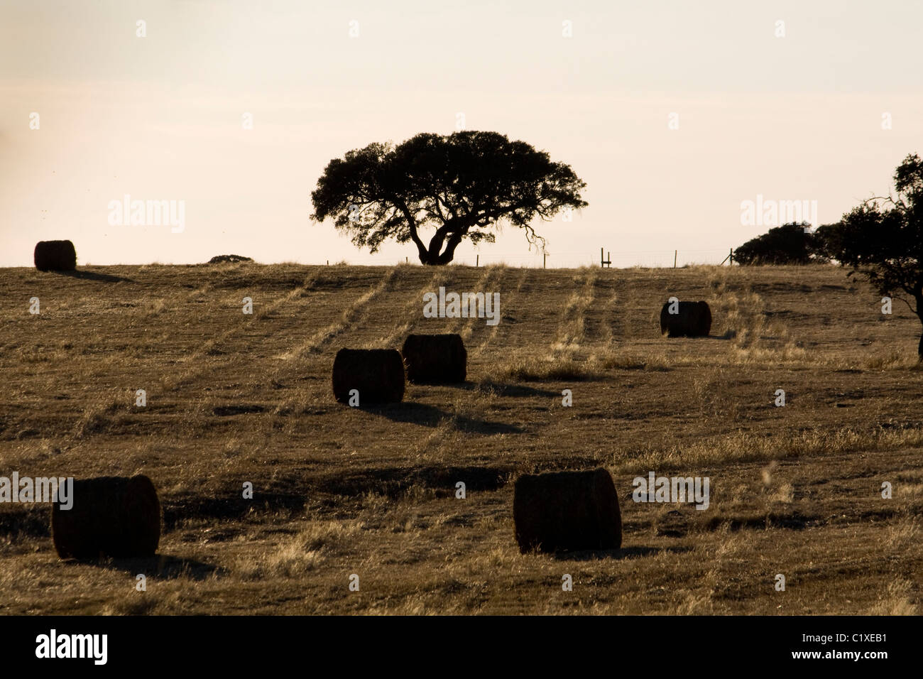 View of a haystack field on the Alentejo region Stock Photo - Alamy