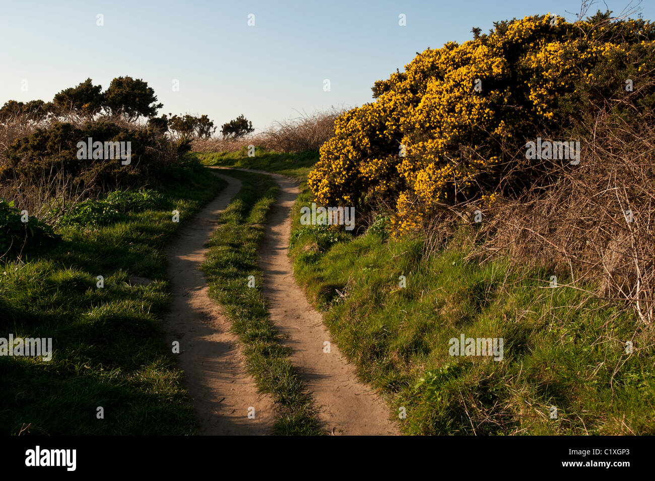 The cliff top path between Overstrand and Cromer on a sunny spring day ...