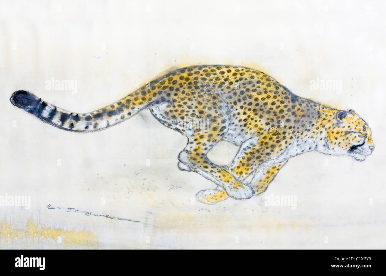 Leopard Running Drawing