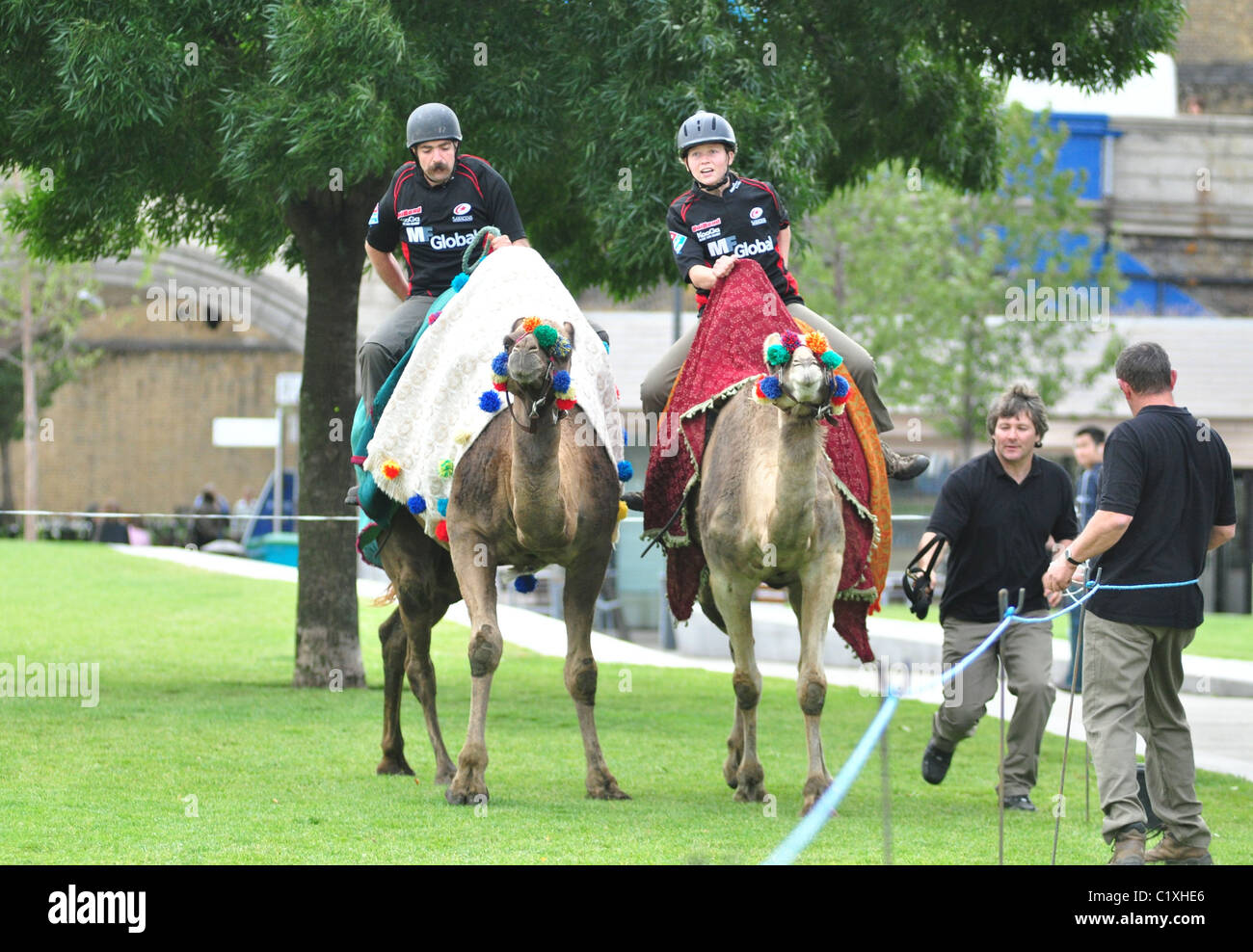Saracens rugby club hosts camel hi-res stock photography and images - Alamy