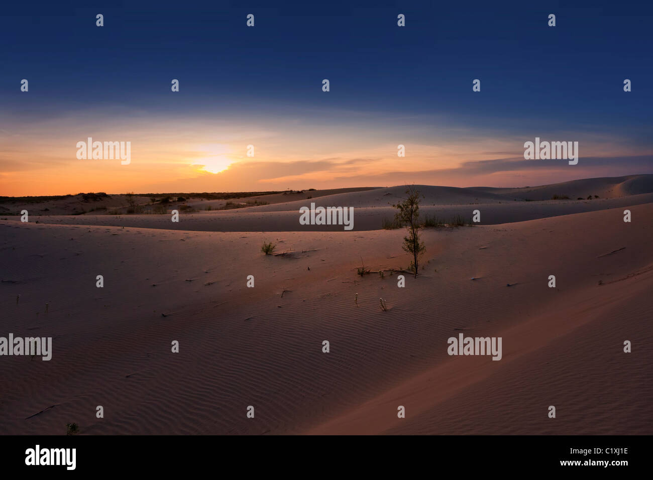 Sunset at Monahans Sand Hills State Park Texas USA Stock Photo - Alamy