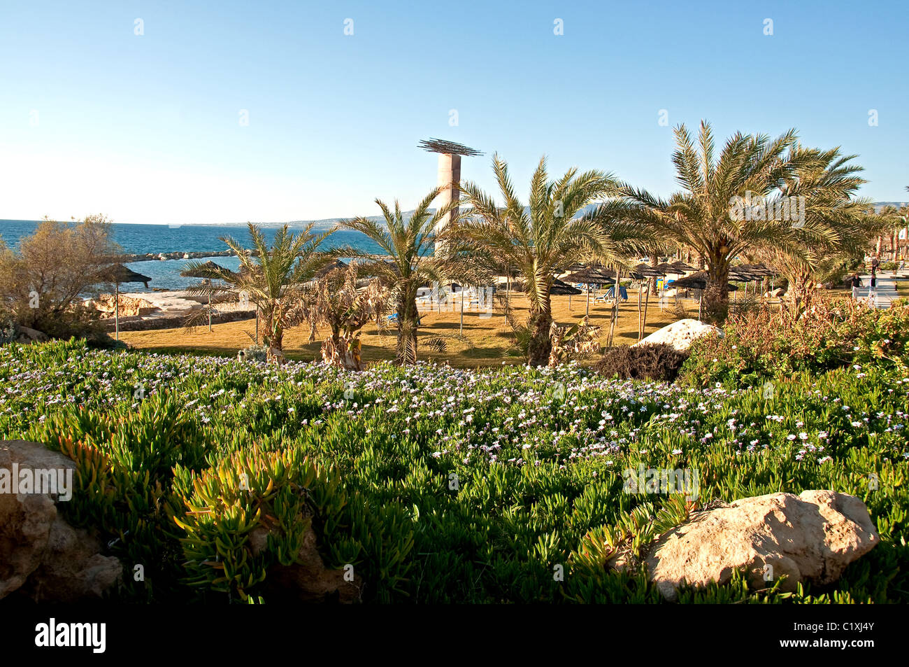 Beach at Chlorakas Pafos Cyprus Stock Photo - Alamy