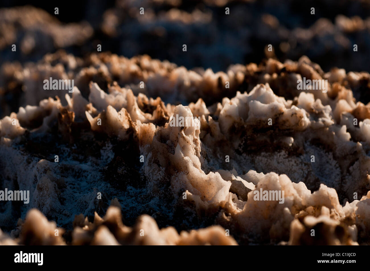 Sharp park golf course hi-res stock photography and images - Alamy