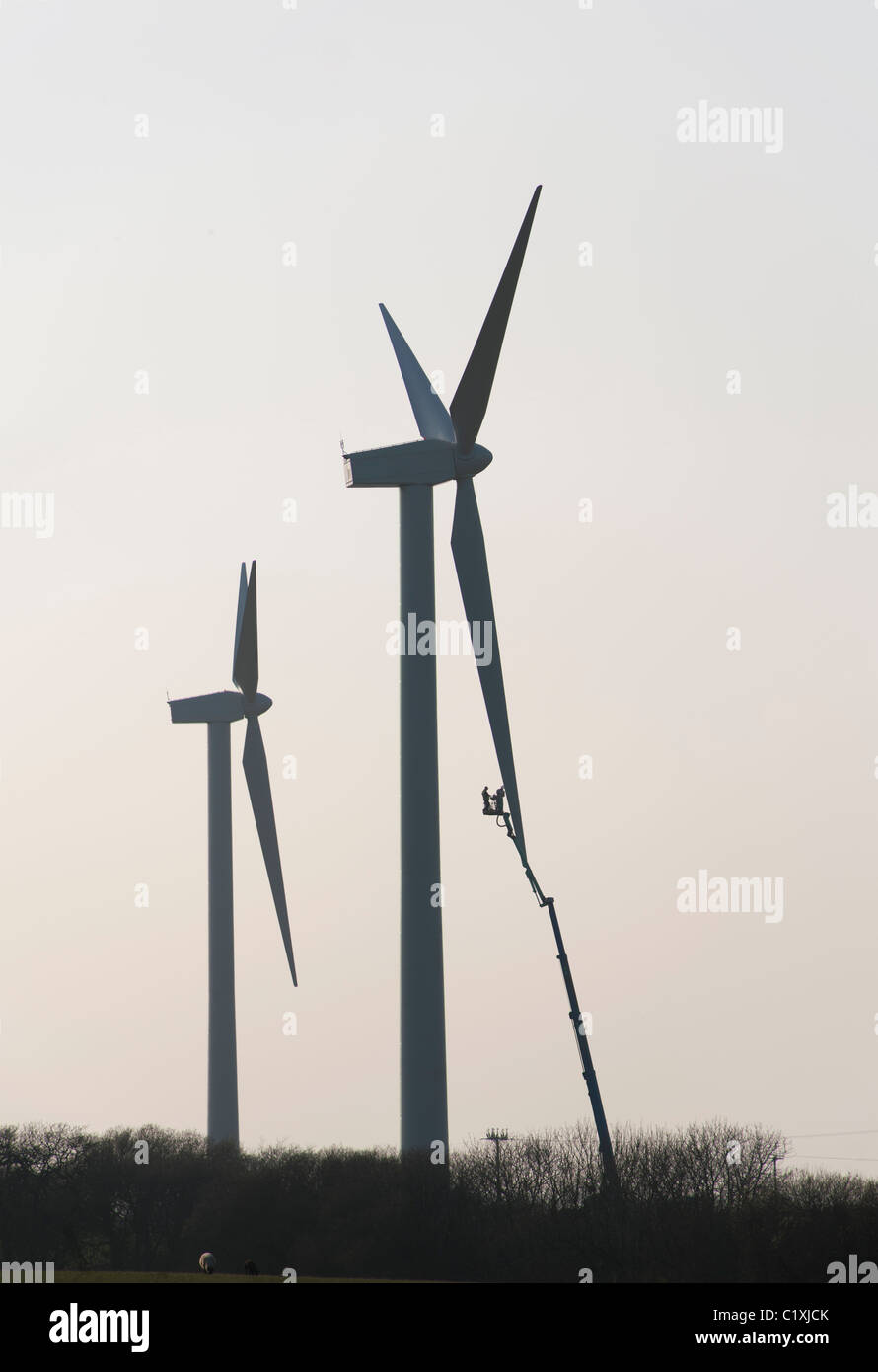 Higher proportion hi-res stock photography and images - Alamy