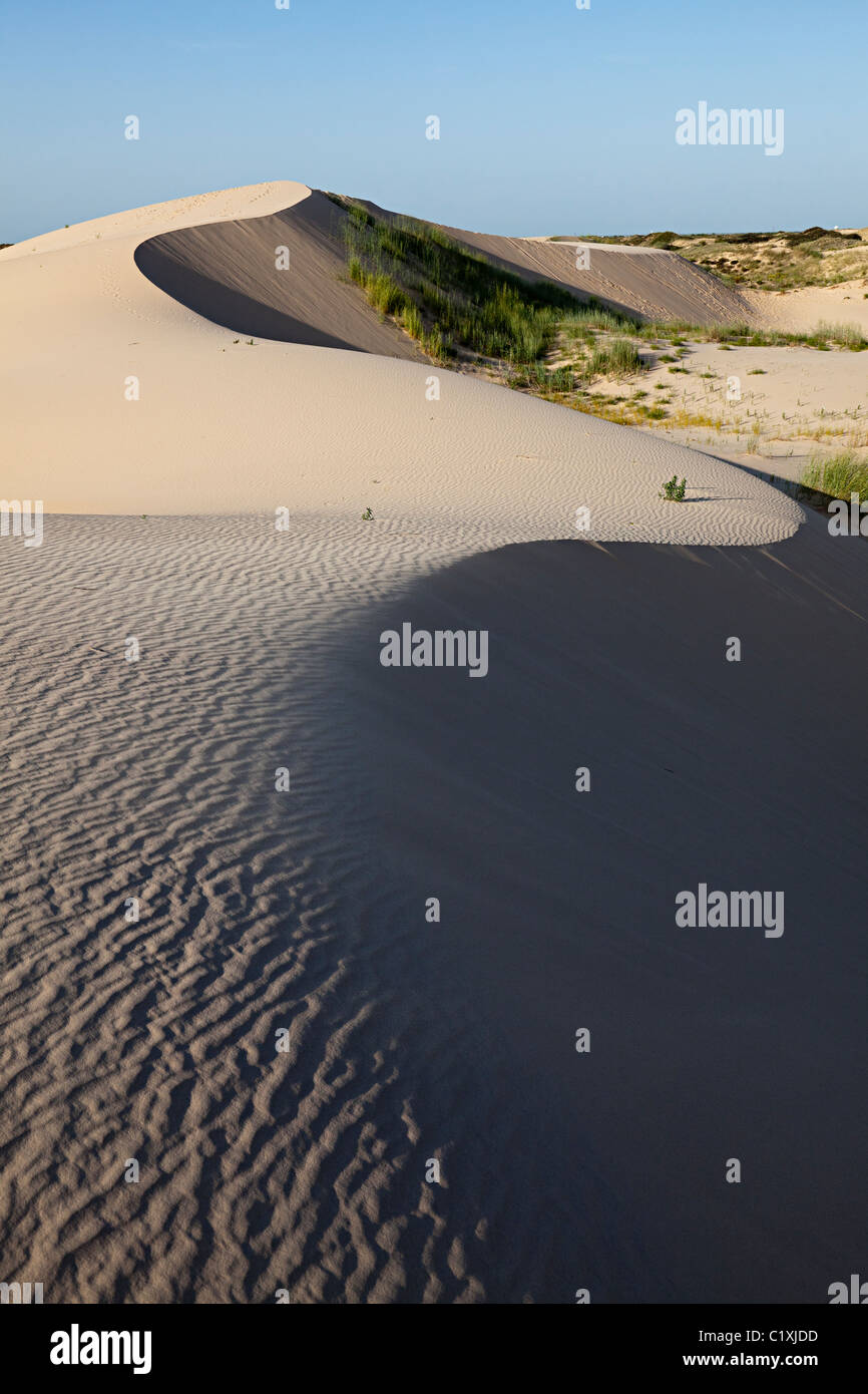 Sand dunes Monahans Sand Hills State Park Texas USA Stock Photo - Alamy