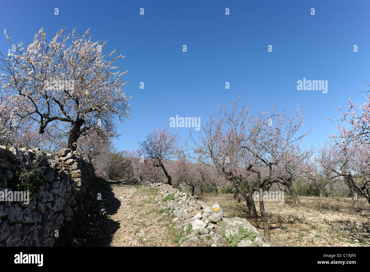 Mozarab Trail, a Moorish mule trail now used by hikers, near ...