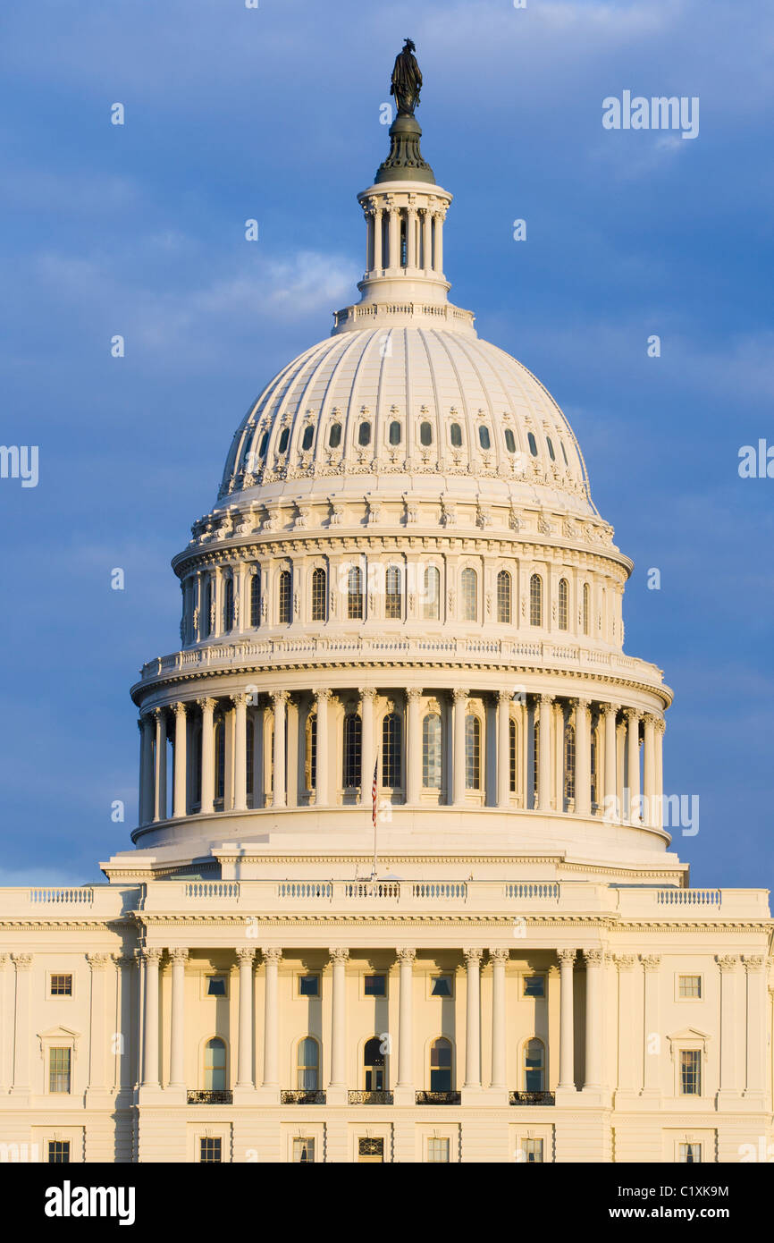 Us capitol and columns hi-res stock photography and images - Alamy
