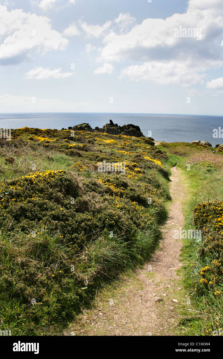 Rock north cornwall hi-res stock photography and images - Alamy