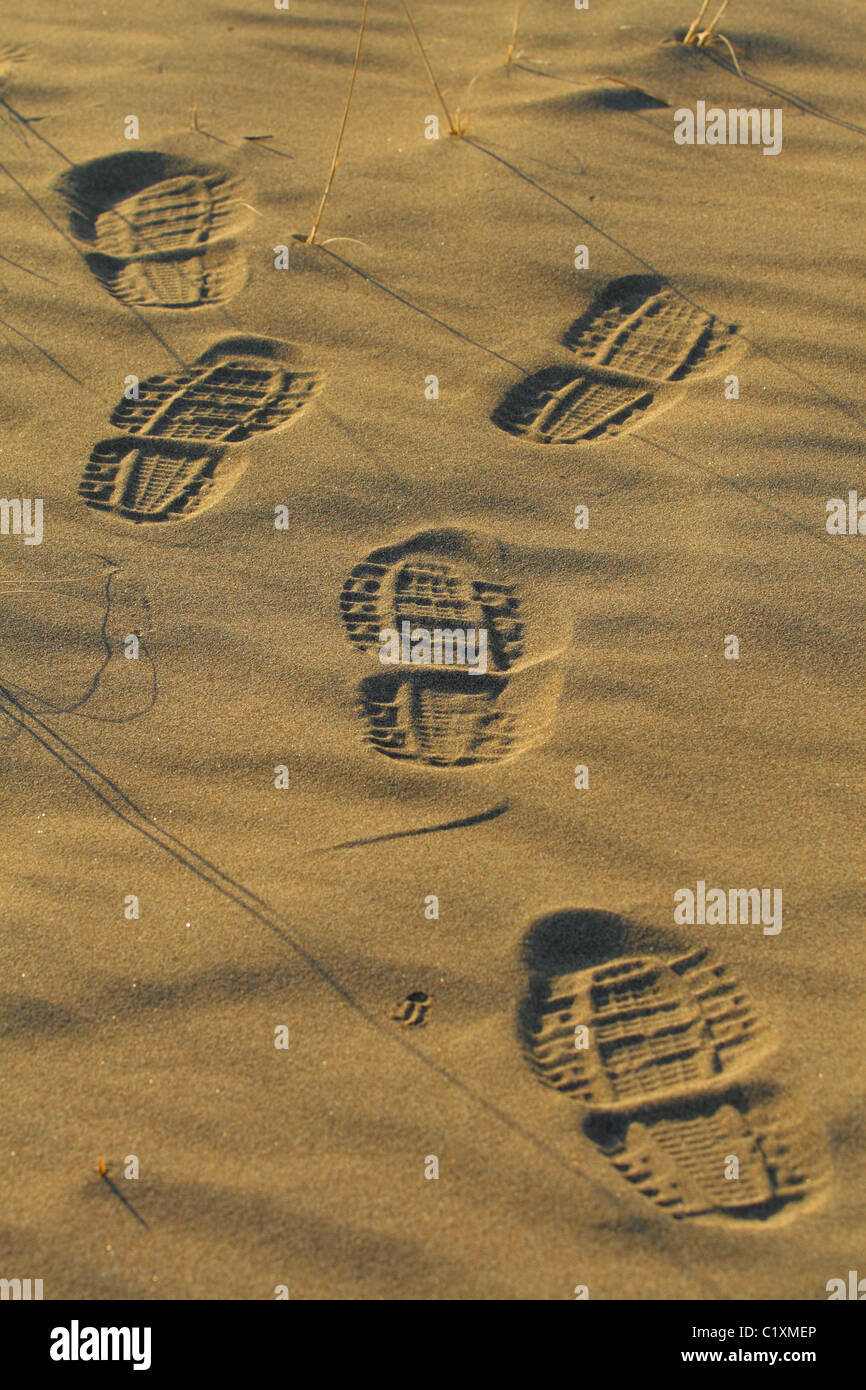 Large traces of slippers on dry sand lit by the slanting rays of the ...