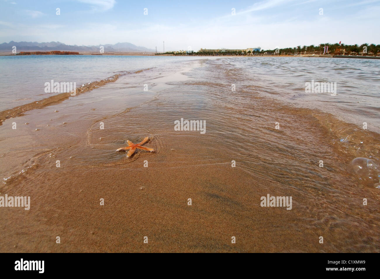 Sandy bank hi-res stock photography and images - Alamy